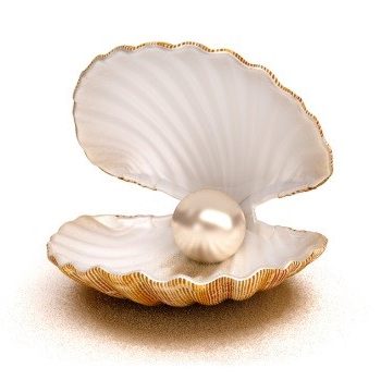 Clinical "Pearls" that will Prepare Nursing Students for Real-World ...